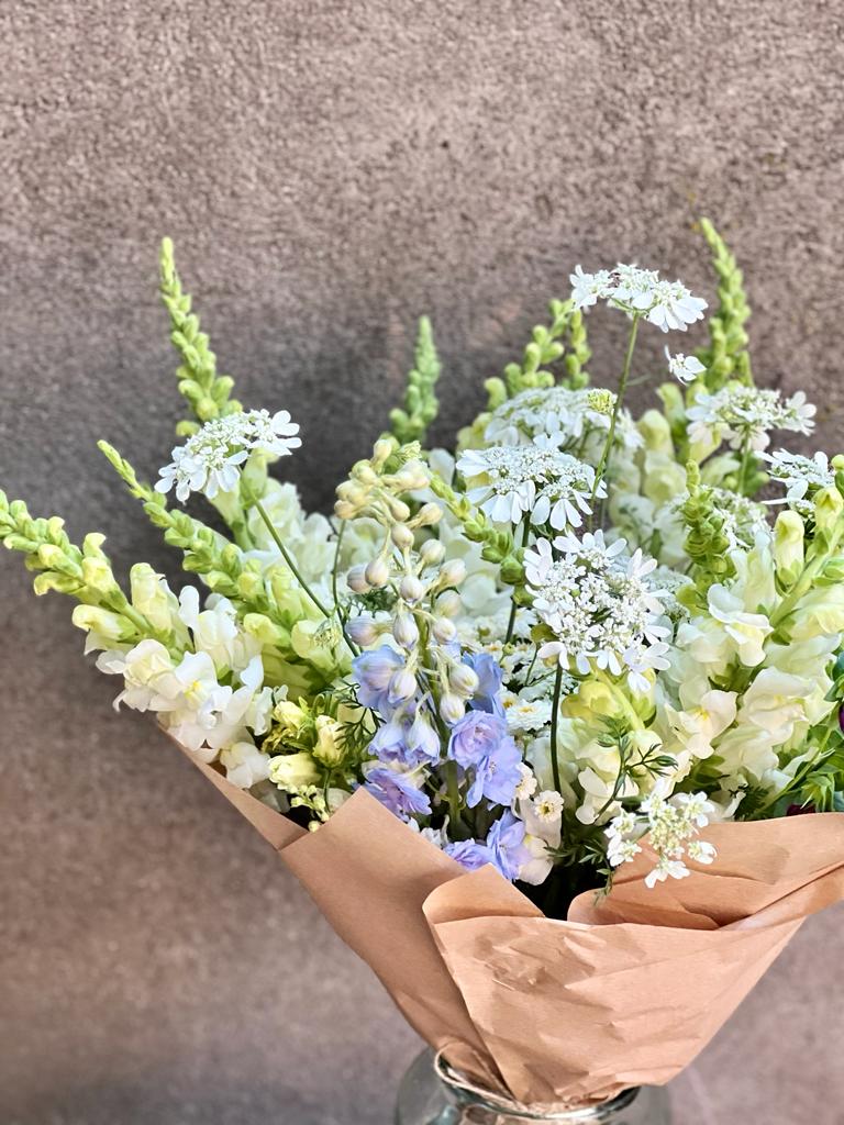Orlaya grandiflora White Lace | Elegant Filler flower ...