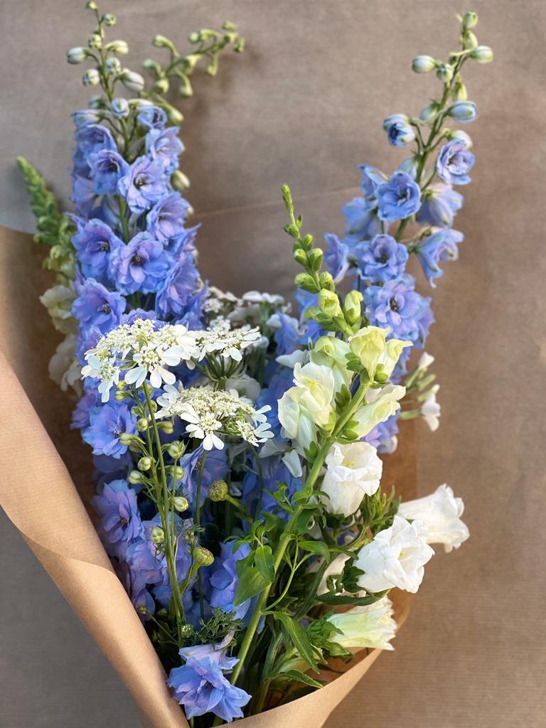 Orlaya grandiflora White Lace | Elegant Filler flower ...