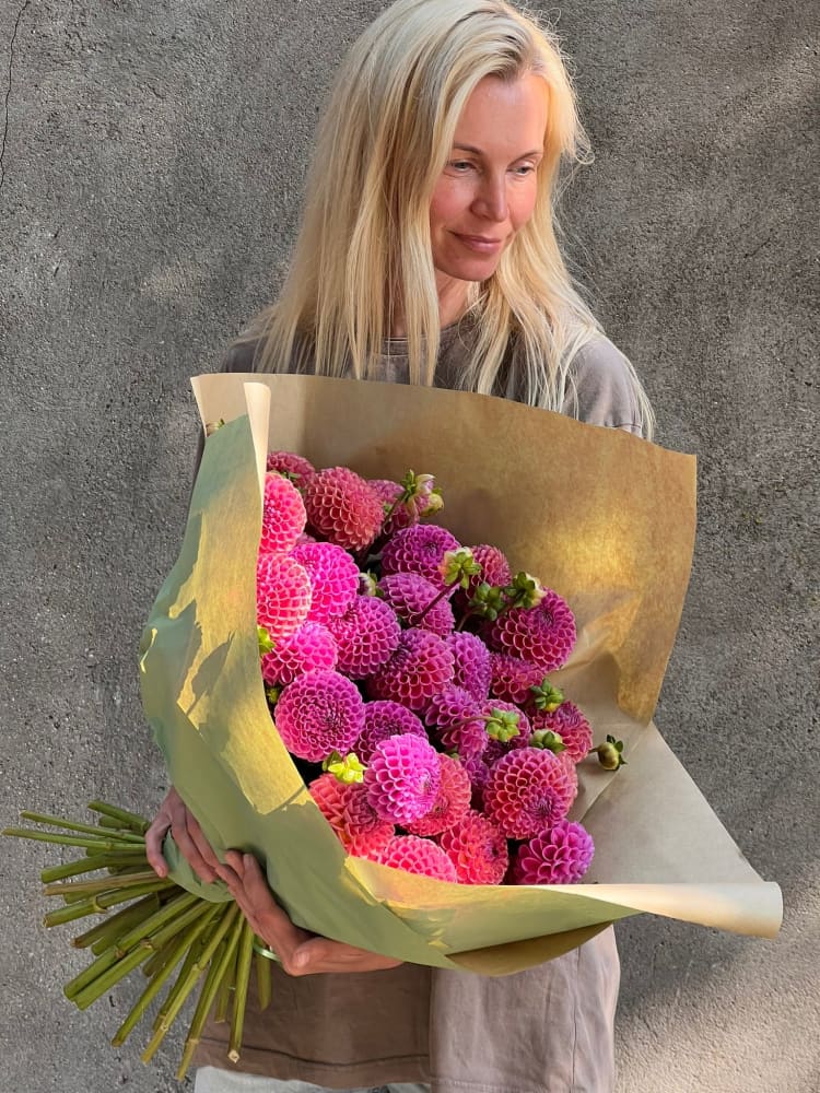 Dahlia ‘Isabel’ Tuber – Unique Lilac & Coral Ball Dahlia | Fantastic ...