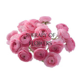 Gorgeous Italian Ranunculus Flowers – therapyofflowers.com