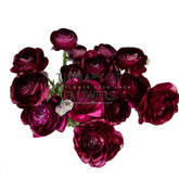 Gorgeous Italian Ranunculus Flowers – therapyofflowers.com